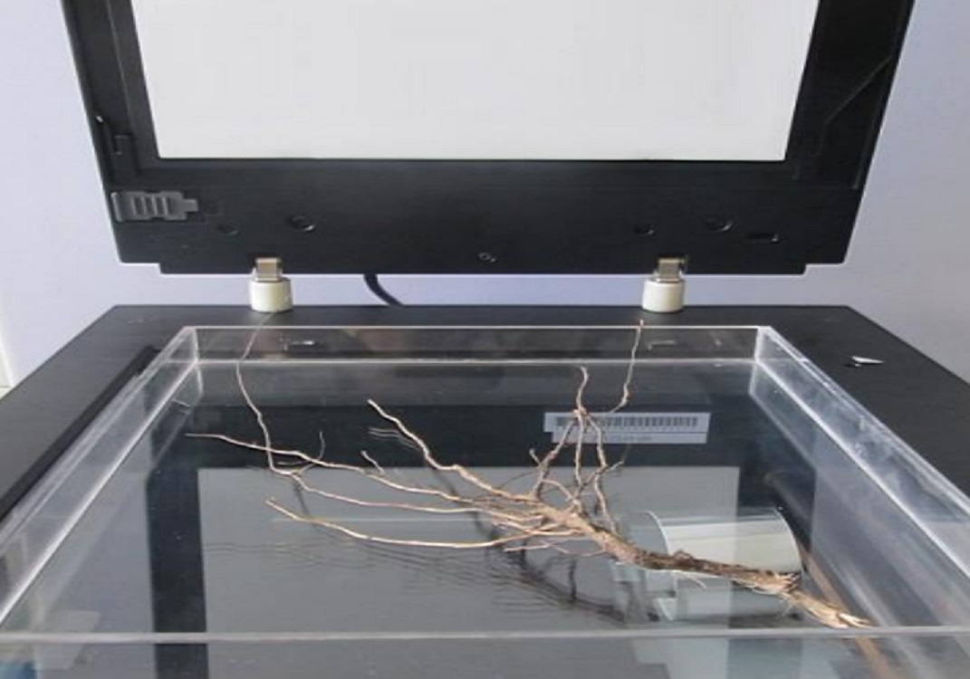 winrhizo WinRHIZO根系分析系统 不带电脑英文版 库号：M102152 - 仪器交易网